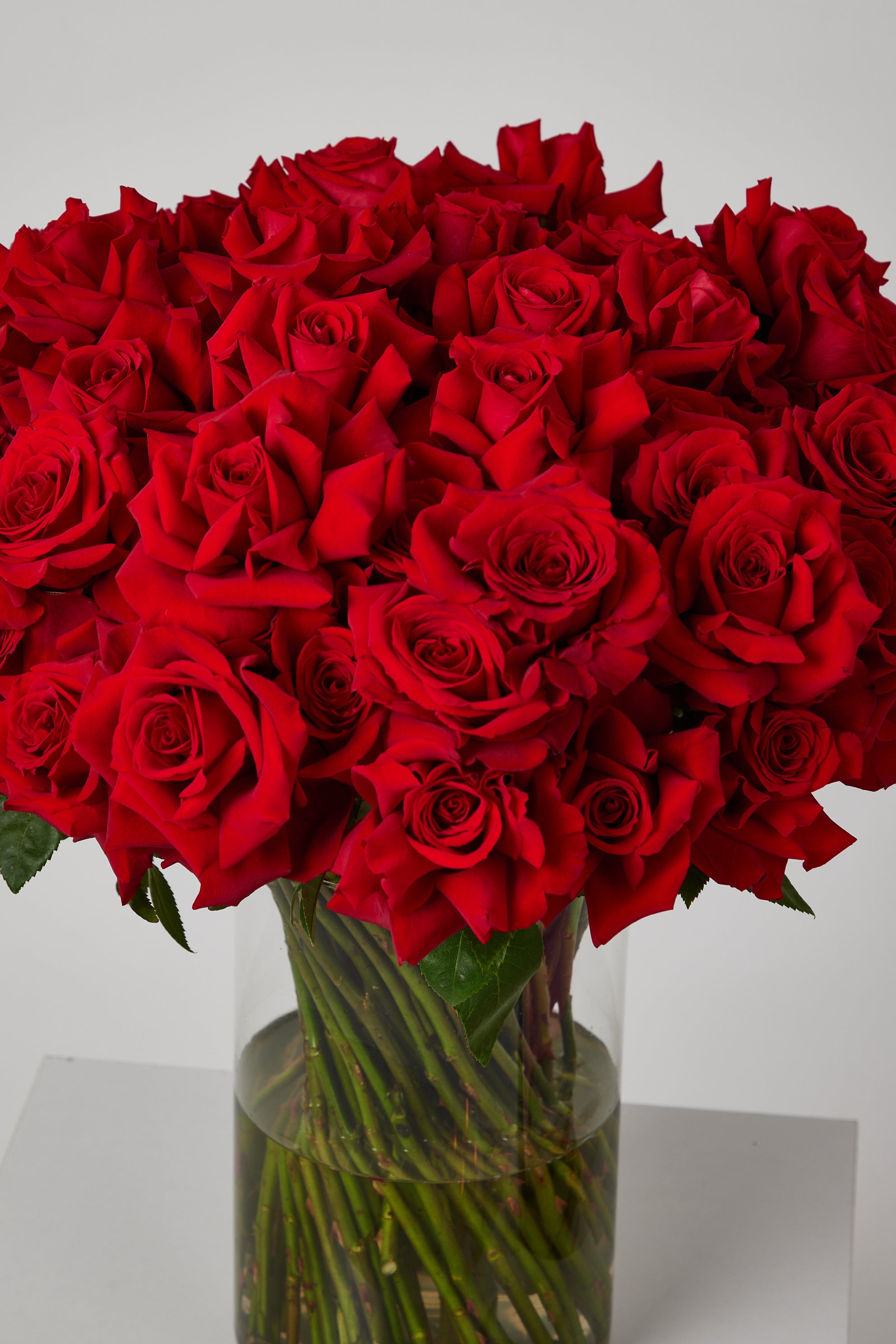 100 Dozen Roses Roses, Flowers & Bouquets | Same Day Flower Delivery