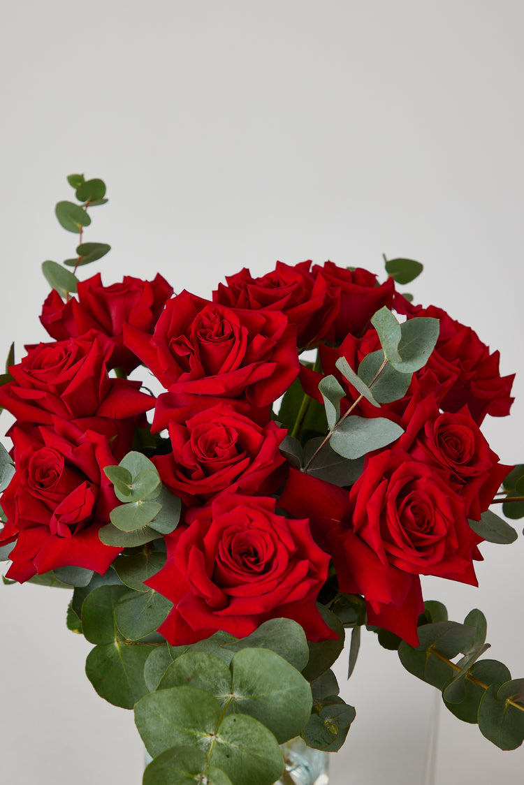 12 Roses – Amelia Rose Floral Couture